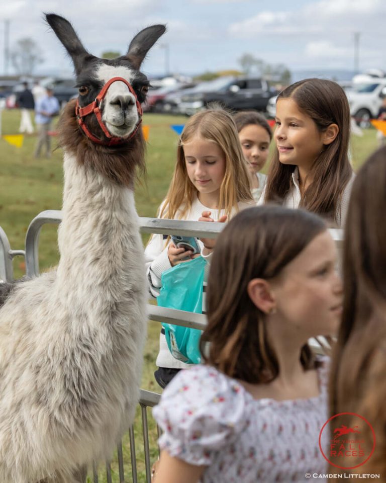 The Virginia Fall Races: 70th Annual Steeplechase | Virginia