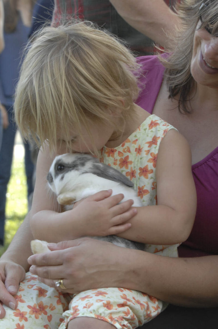 The Virginia Fall Races: 70th Annual Steeplechase | Virginia
