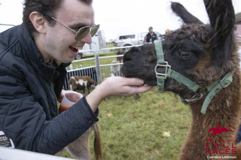 The Virginia Fall Races: 70th Annual Steeplechase | Virginia