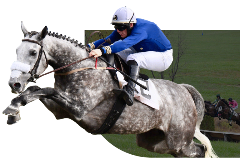 The Virginia Fall Races: 70th Annual Steeplechase | Virginia