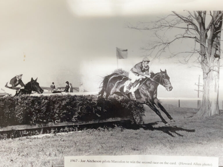 The Virginia Fall Races: 70th Annual Steeplechase | Virginia
