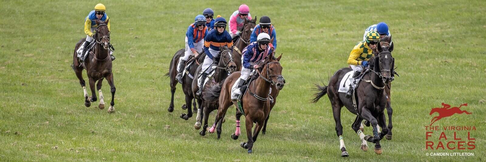 The Virginia Fall Races: 70th Annual Steeplechase | Virginia